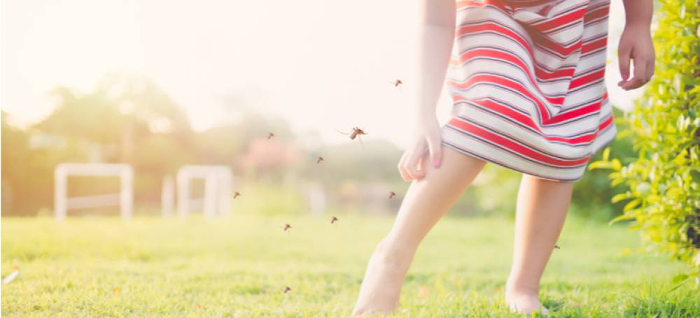 Treatment for Insect Bite- Steps to Prevent Serious Issues